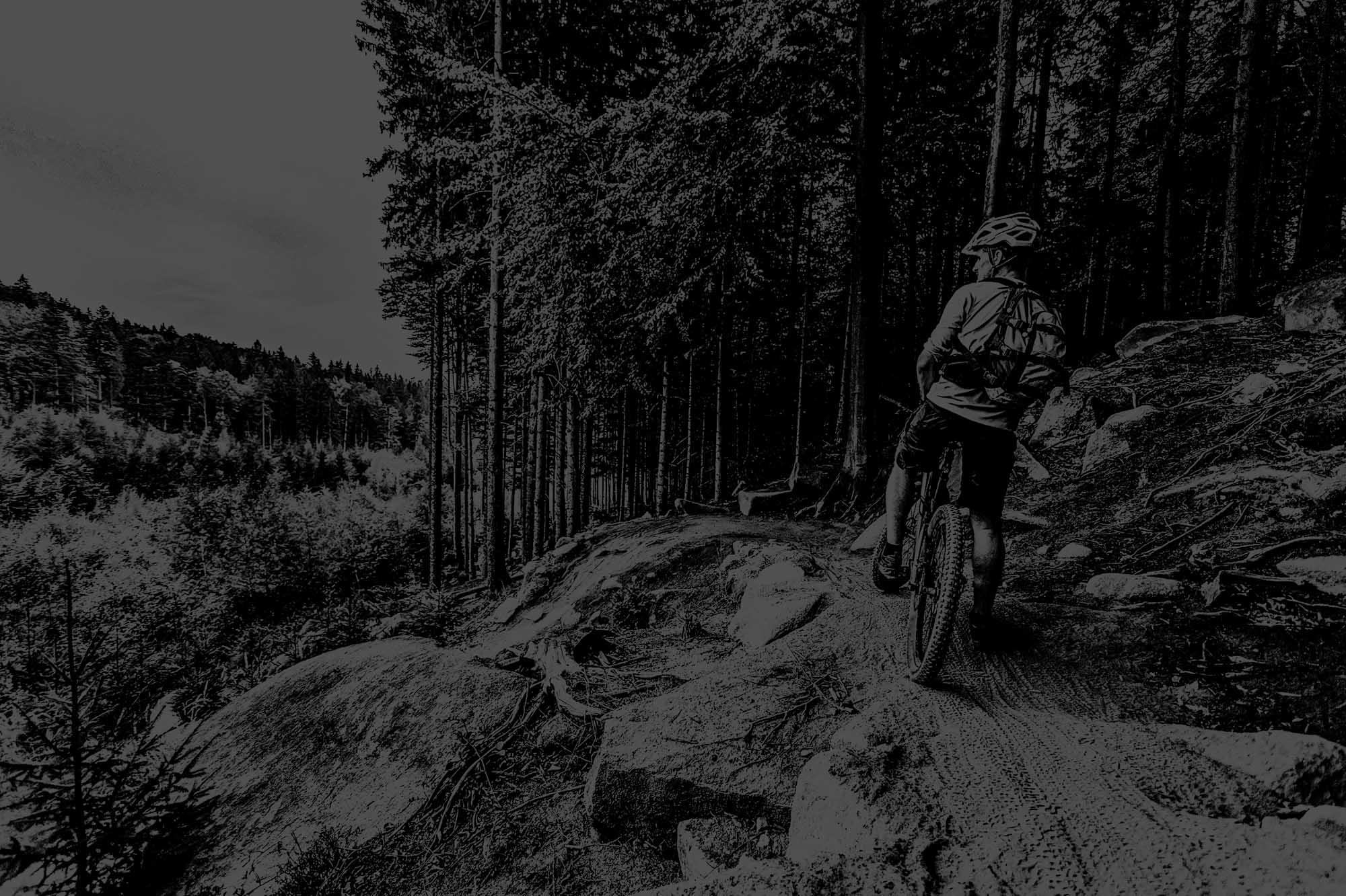 GTMRK – Quality Forks for MTB, E-Bike and Gravel – Huge range of high ...